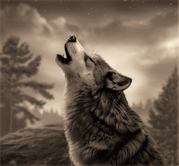 Howling Wolf - Wholesale – Muskoka Roastery